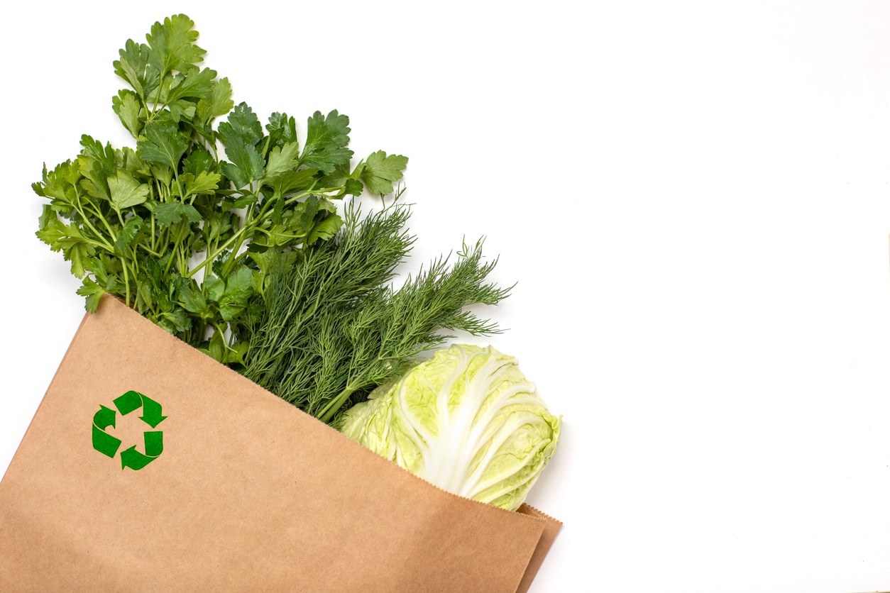 The Rise in Demand for Eco-Friendly and Sustainable Packaging - Ace ...